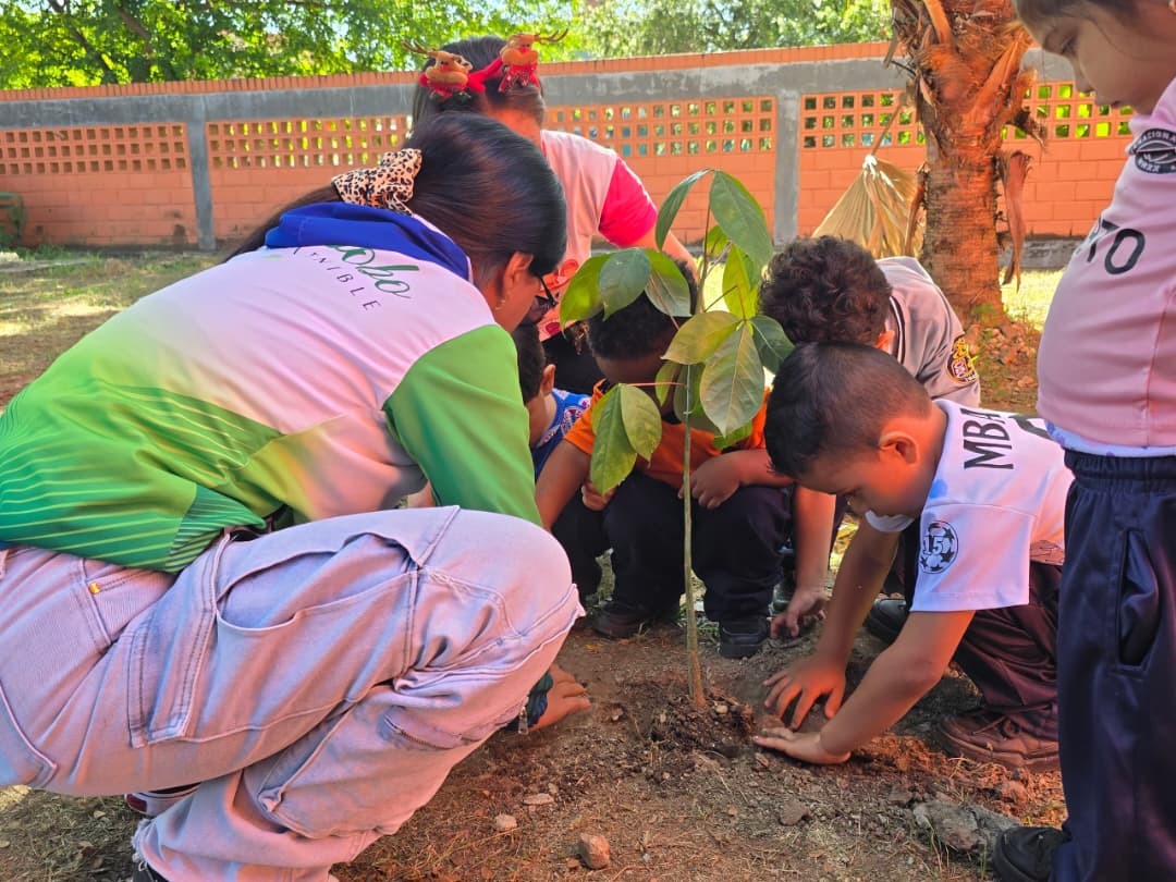 Alcaldía de Valencia promueve conciencia ecológica con Jornada de ...